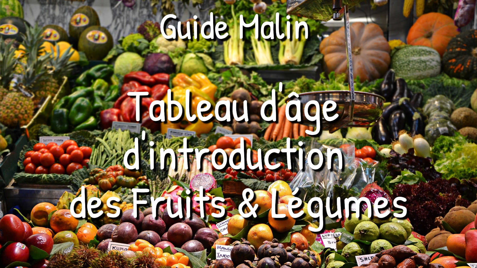 Guide Tableau d'âge d'introduction fruits et légumes - Programme Malin